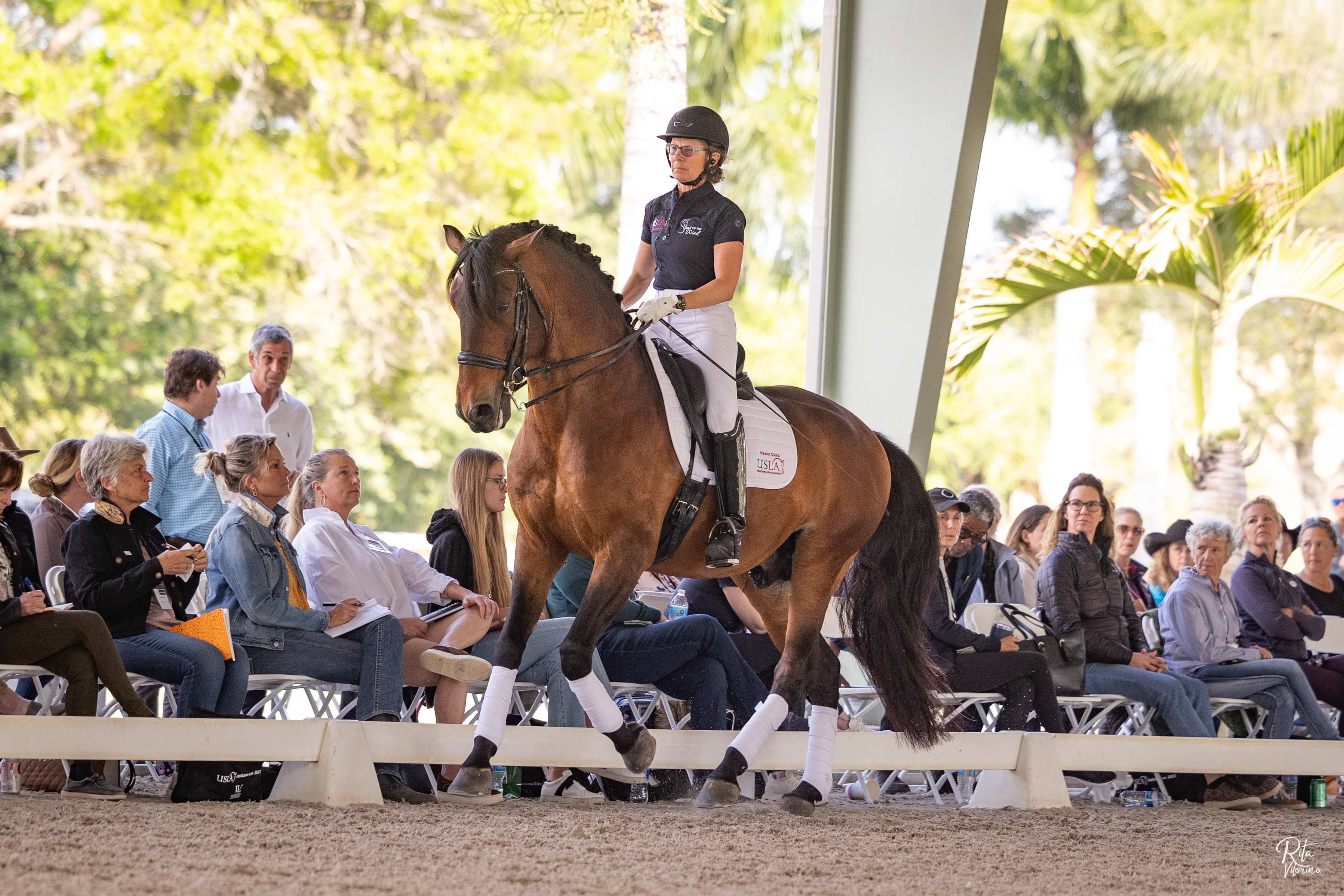 2024 USLA Lusitano Conference | Full Conference-2024 USLA Lusitano ...